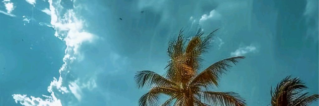 Тимур и его команда