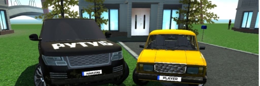 Професеональный Макс Play