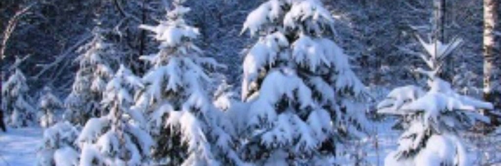 @☃Snow-Time Cosmo❄