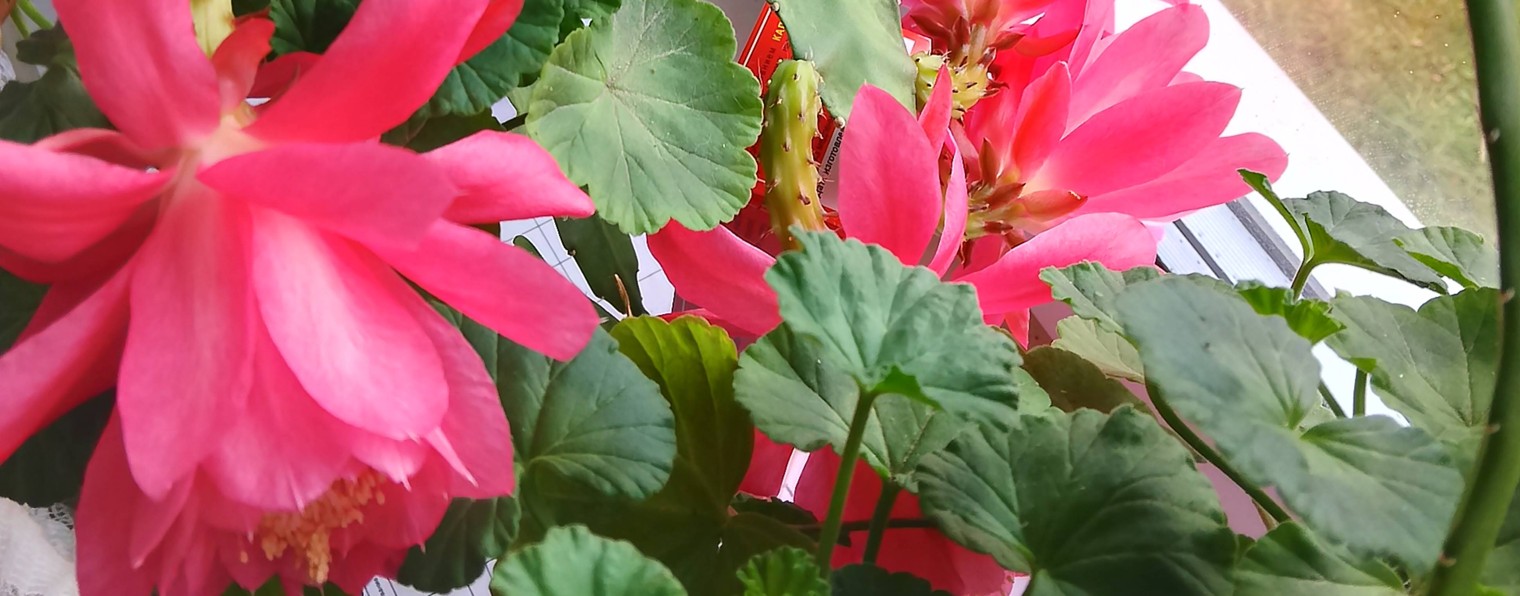 Татьяна К. 😘