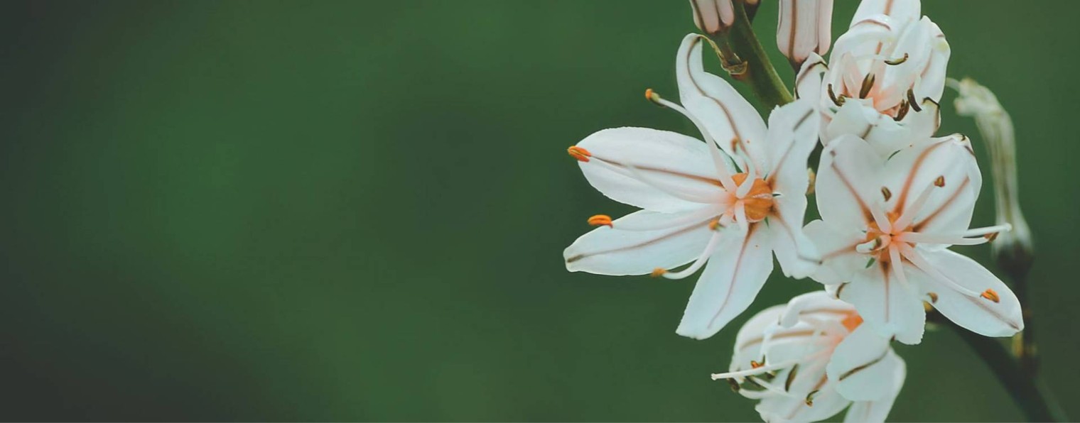 ШКАТУЛКА СЮРПРИЗОВ. НАРИСУЙ СО МНОЙ