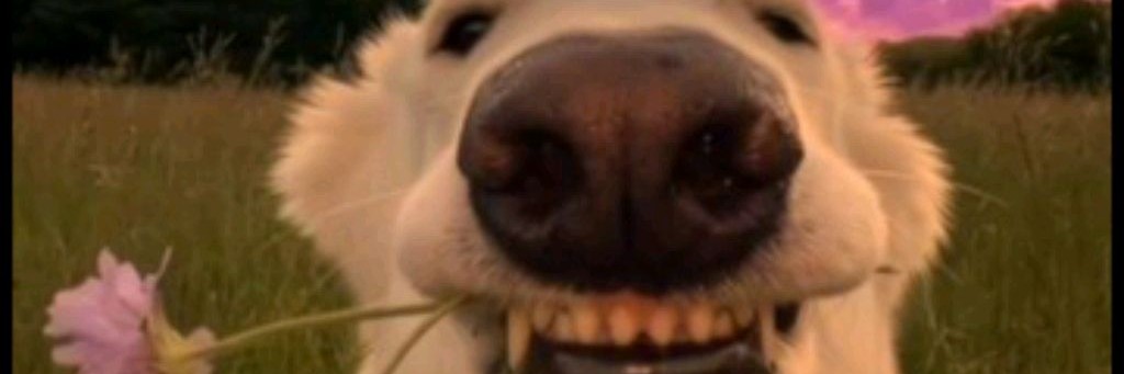 Гимнастика🩷