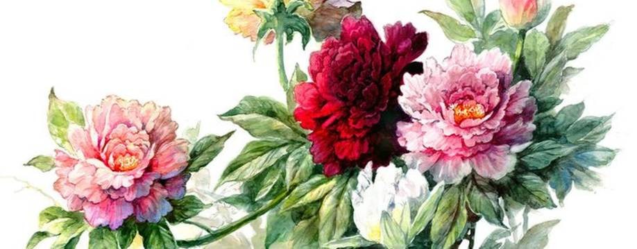 Юлия Филичкина психолог, кинезиолог, нейрограф