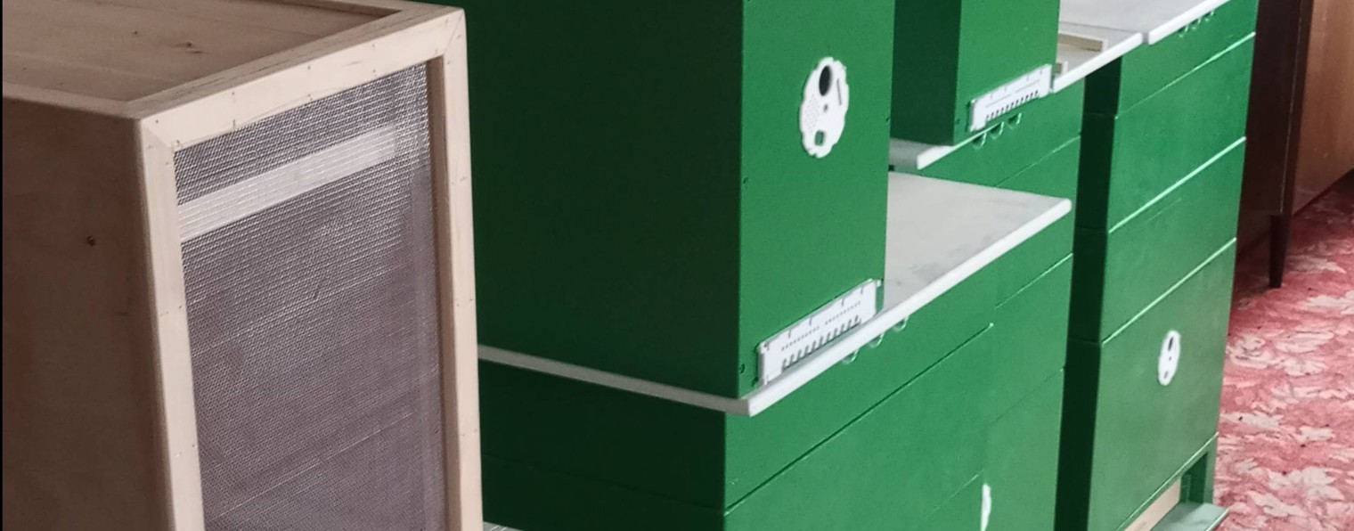 Пасека в Лисицино. Среднерусская пчела.