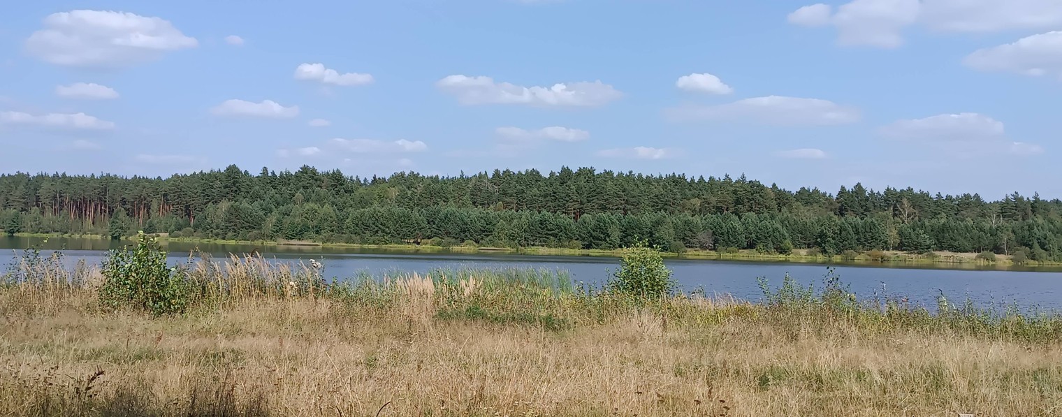 Людмила Атоми