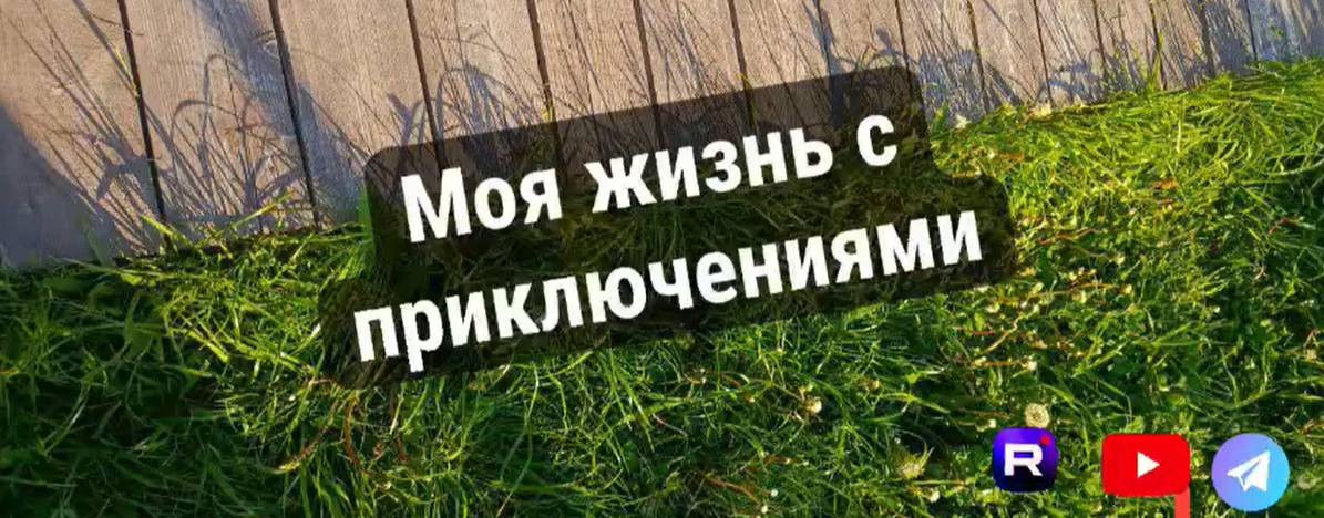 моя жизнь с приключениями