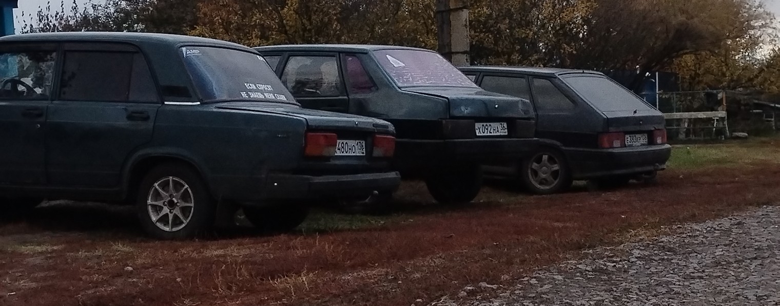 Просто Коля