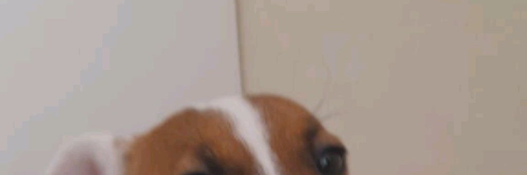 Миха про☑️