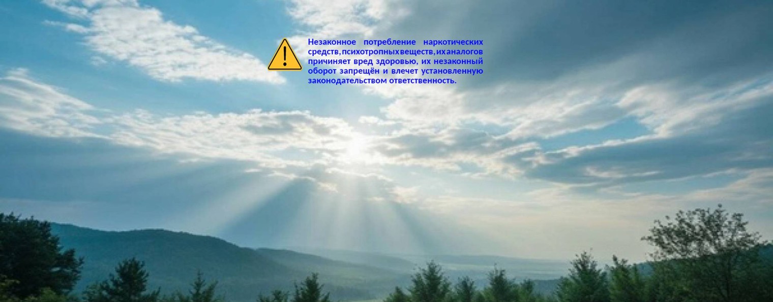 Нар-Анон России