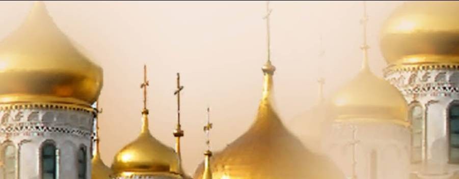 Находки wildberries с Анатолием