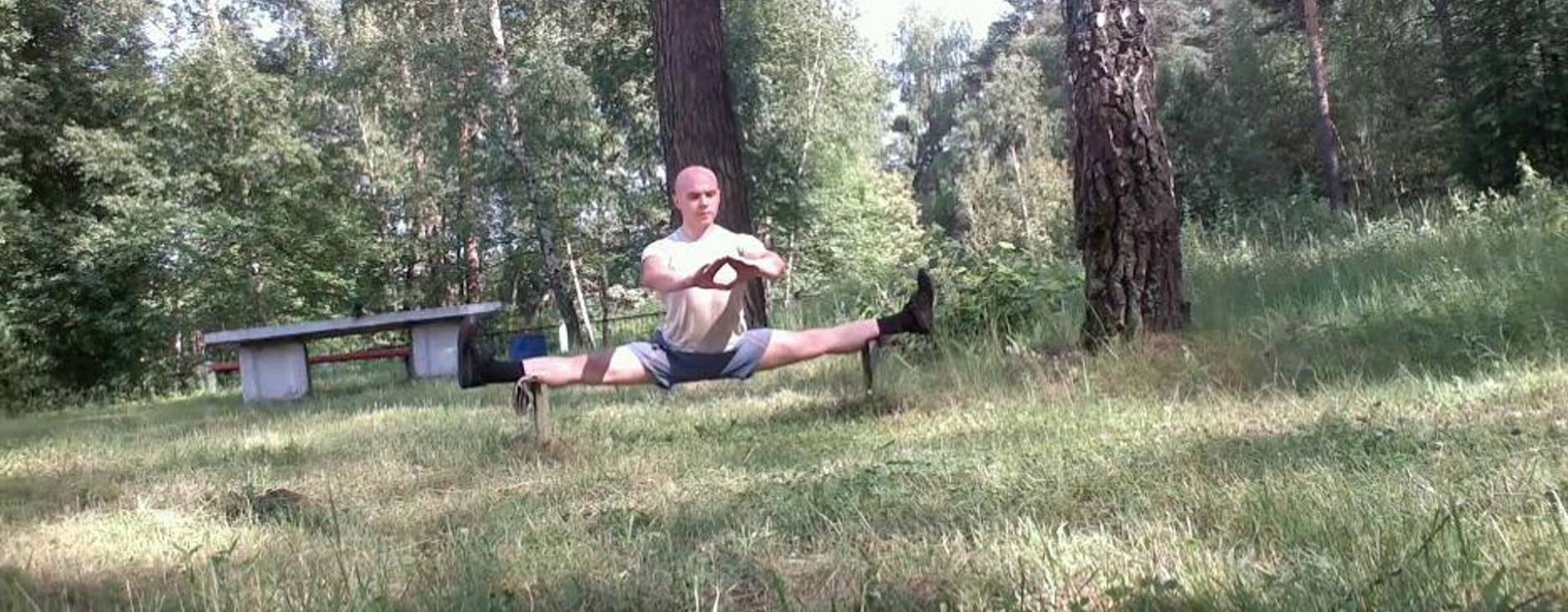 Yaroslav_younger