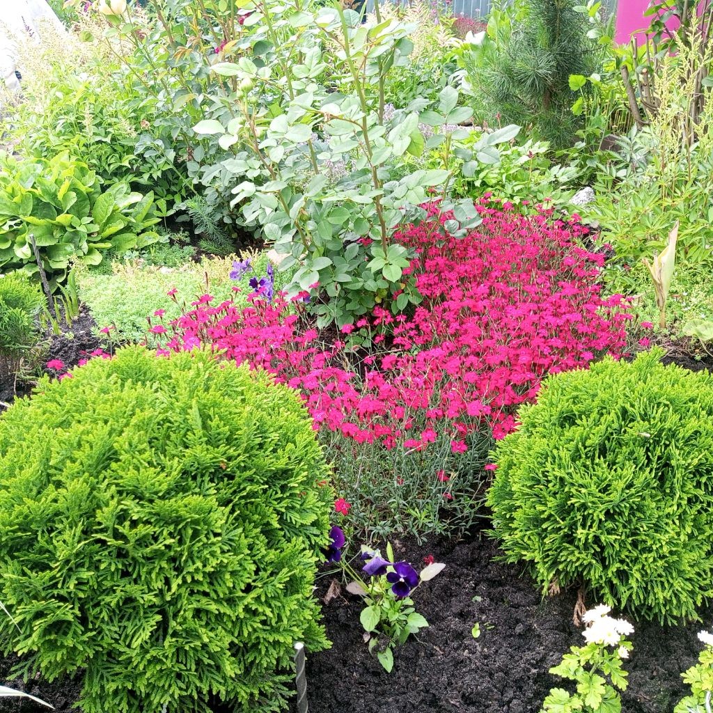 О даче и не только.