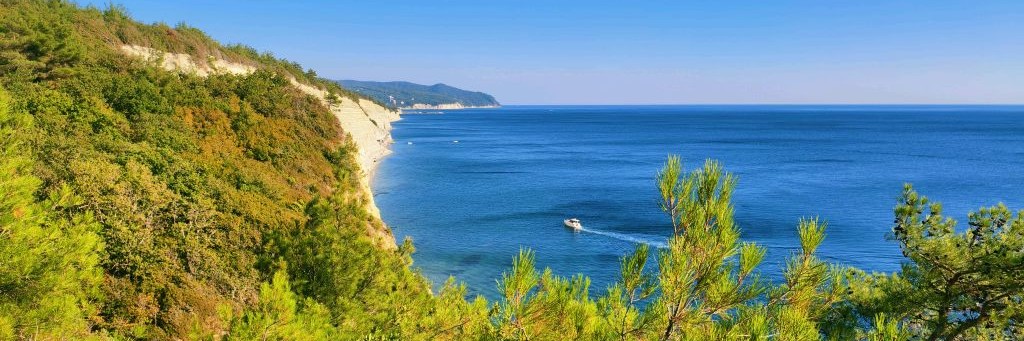 Семейный отряд