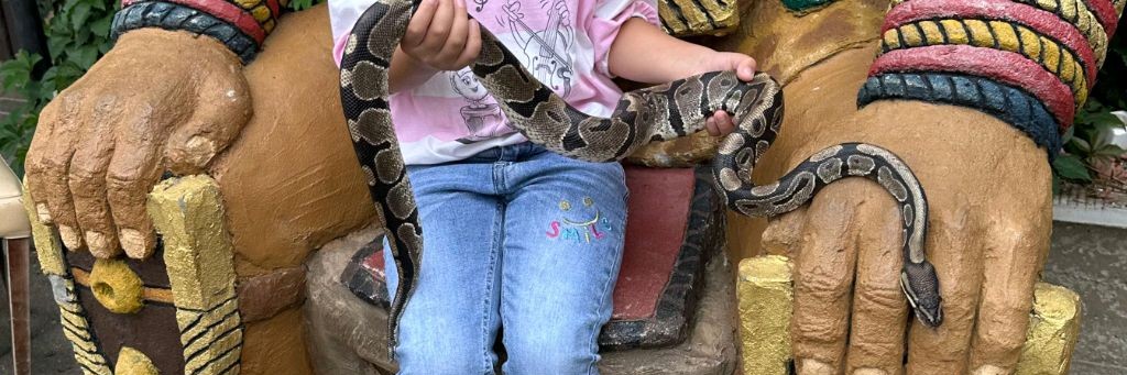 Мелисса Наумова