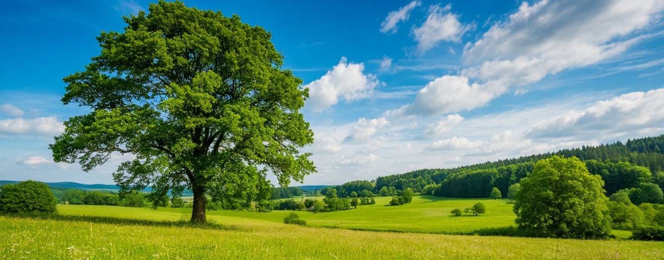 Про Здоровье о Главном