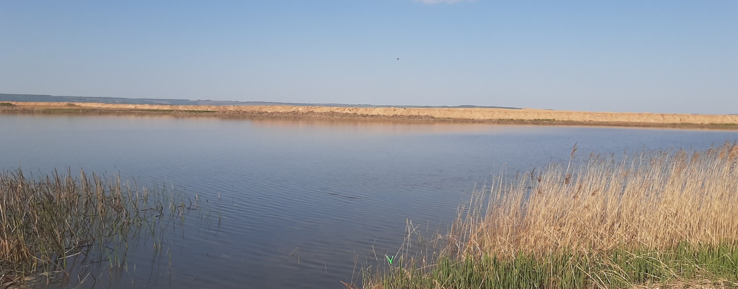 В Мире IT, Техники и Рыбалки