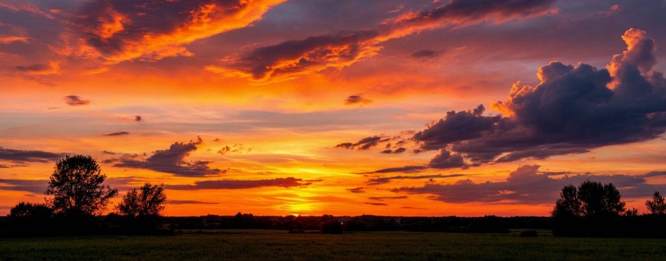 Родственный Беспредел