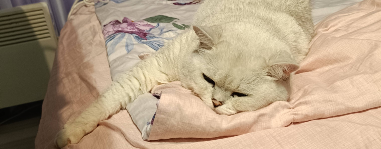 #просто.DIY🧩