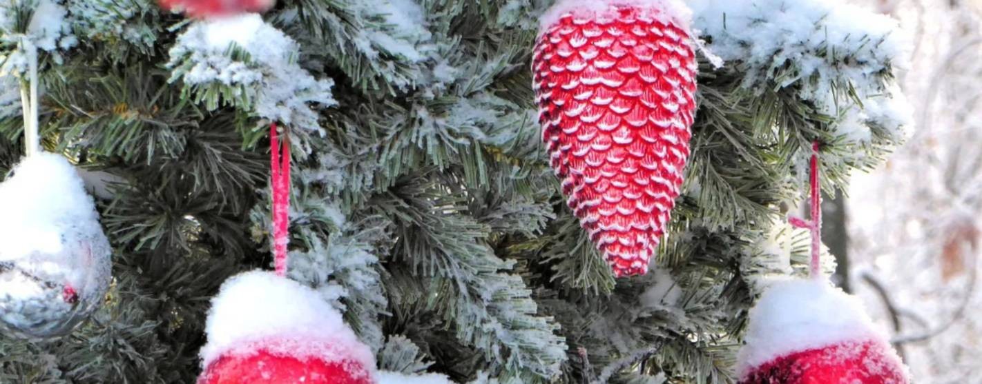 Фирдаус Алтынбаева Астропсихолог,коуч,расстановки