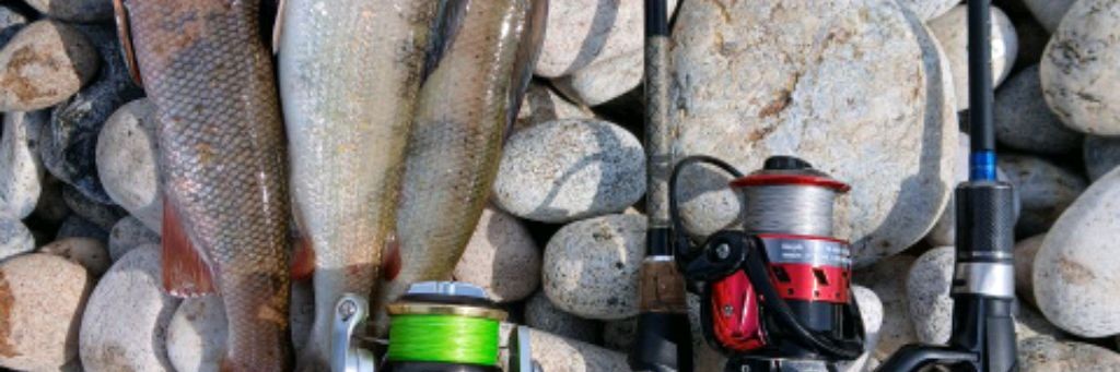 Рыбалка с Гидом на Байкале