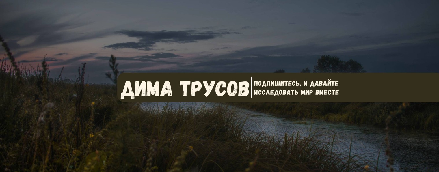 Дмитрий Трусов