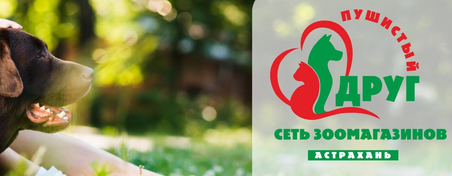 Пушистый Друг. Сеть зоомагазинов.
