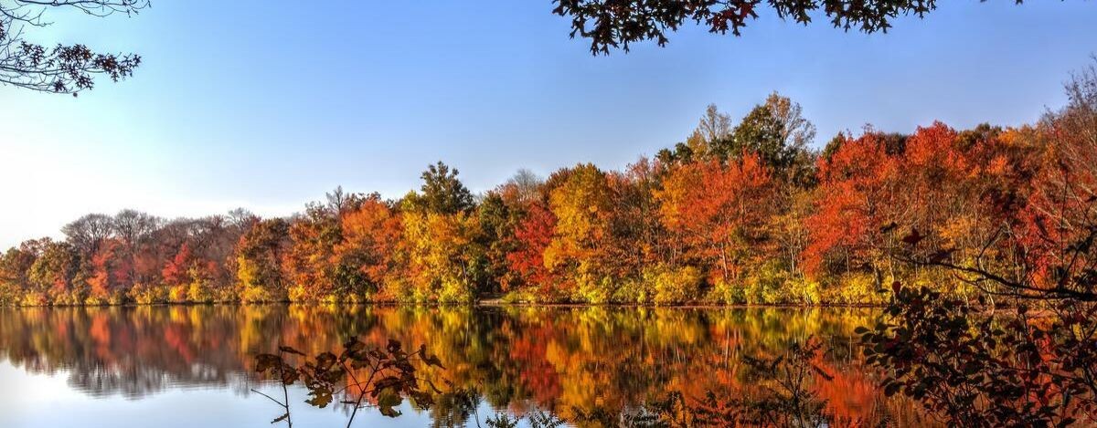 ДОМ У ОЗЕРА 63RUS