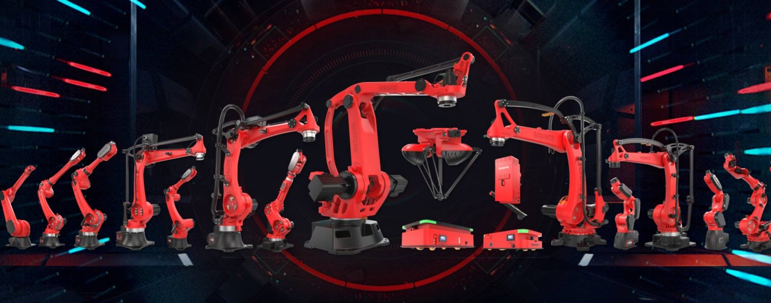 Роботы BORUNTE