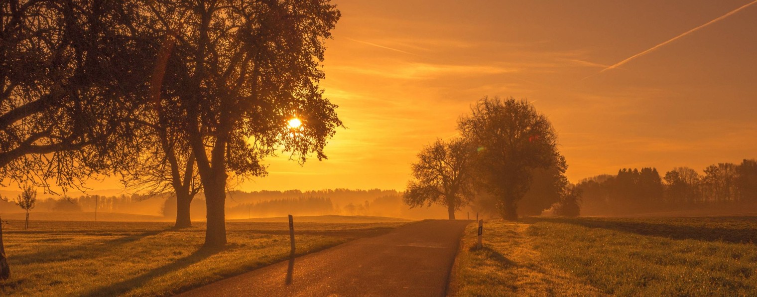 Будни Олега