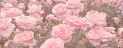 🐍Виктория Змеева 🐍