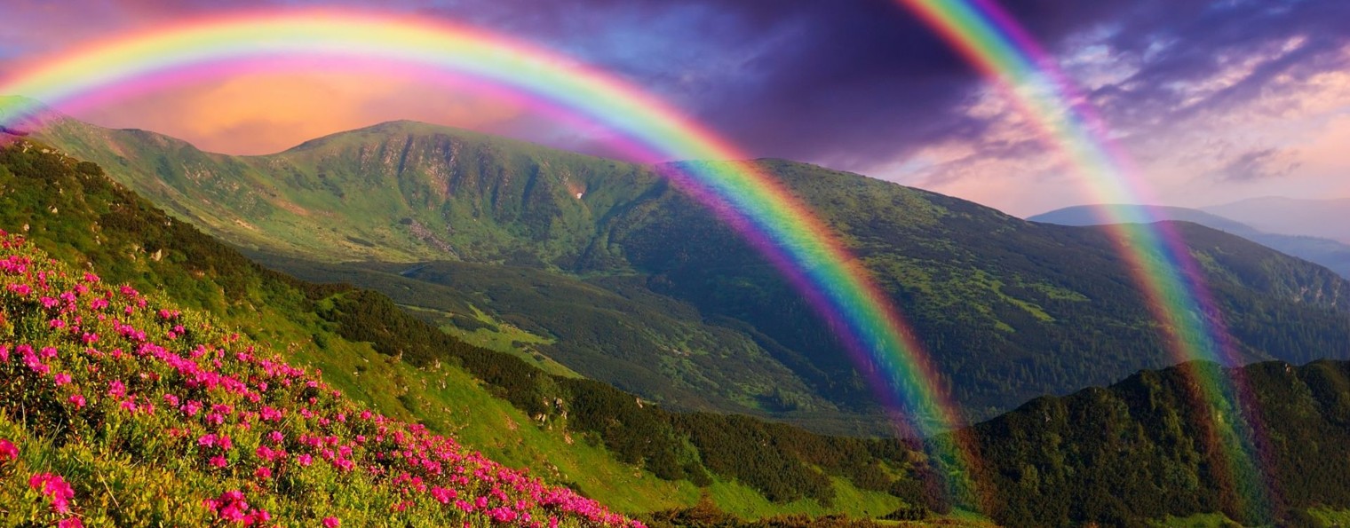 Анастасия Менгунова