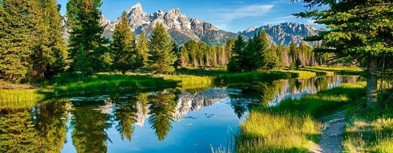 Архипова Инна Васильевна