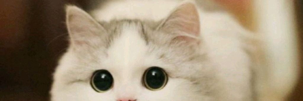 Милана Королёва