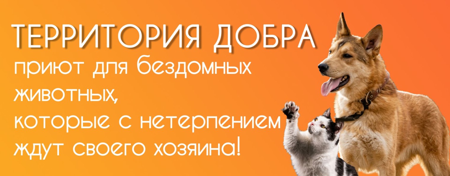 «Территория добра» | Приют для бездомных животных