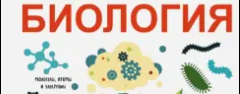 БиологКот