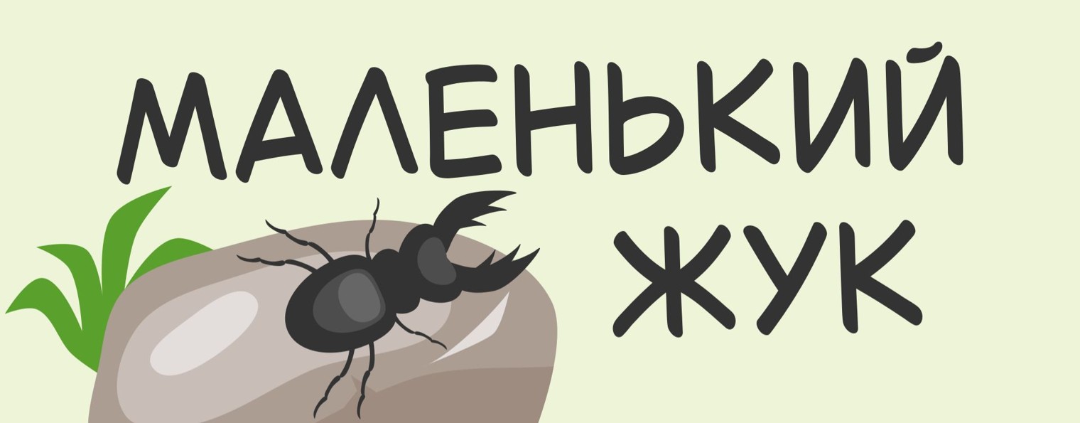 Маленький жук