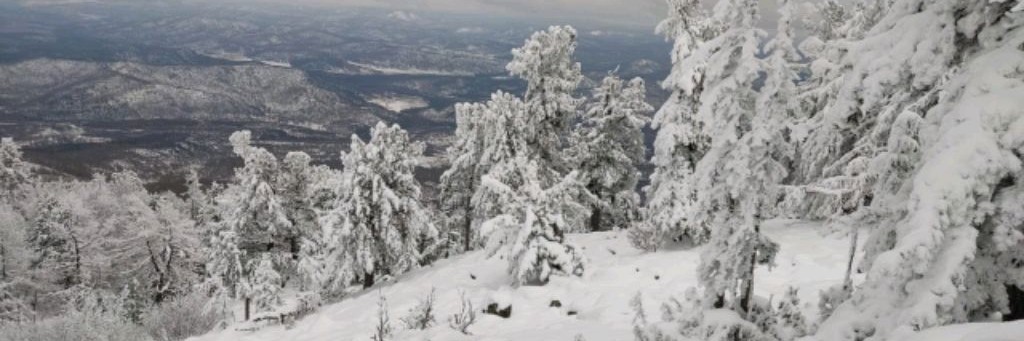 Автономщики-Х