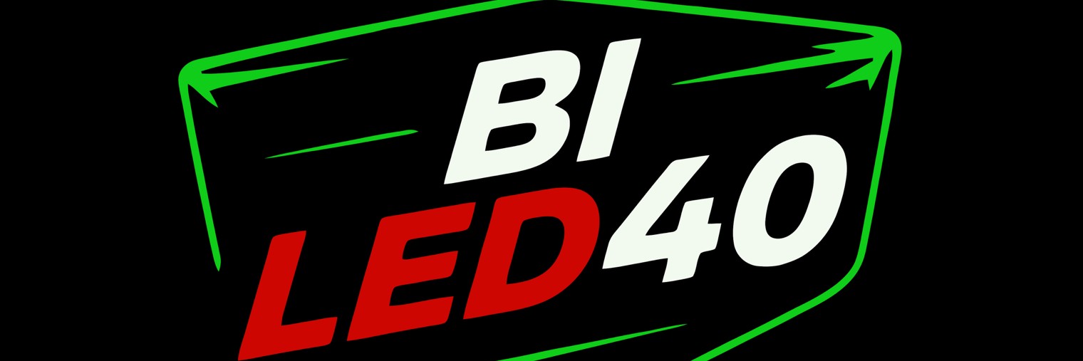 BiLeD40
