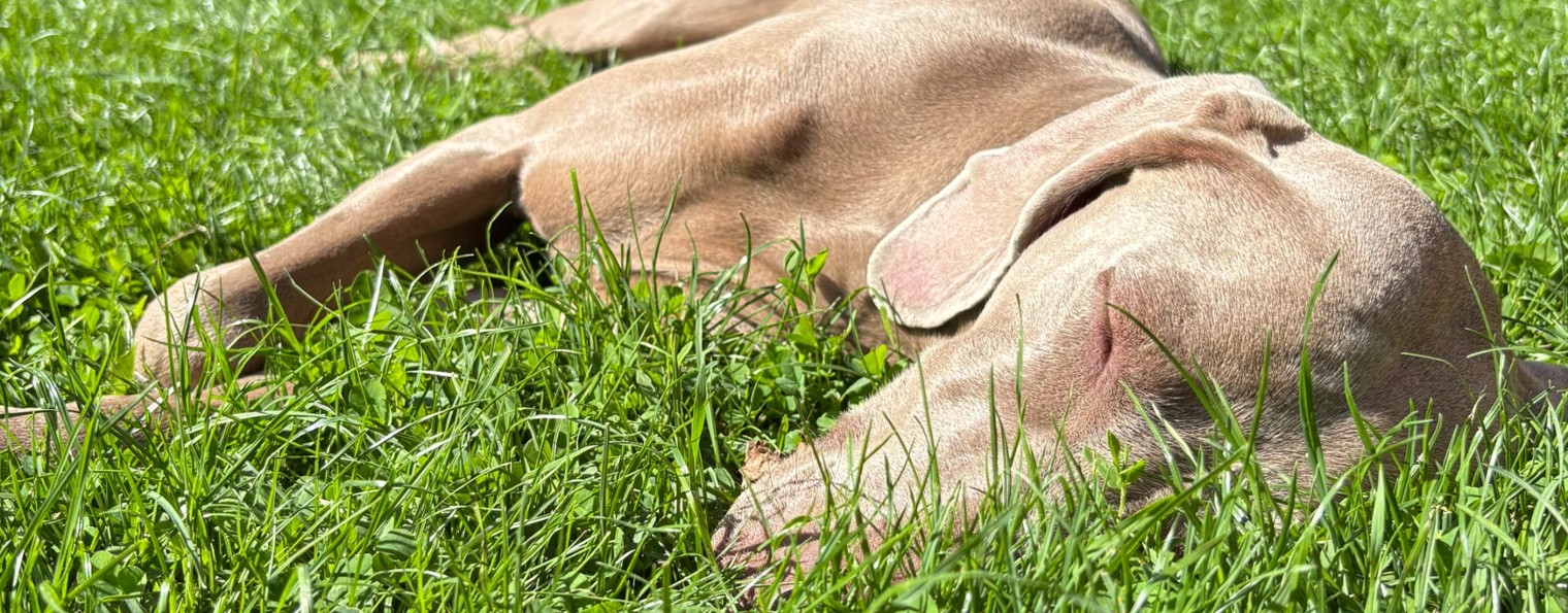 Охота на охоту