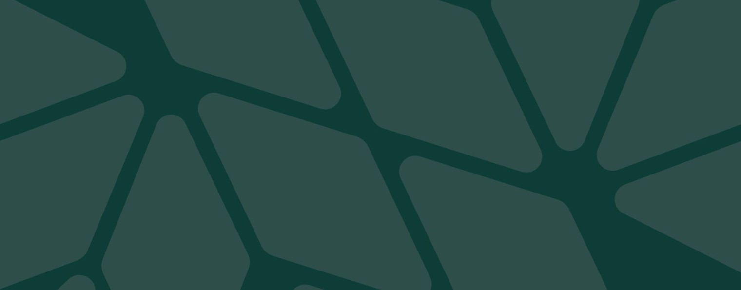 MIR. Travel. Friends