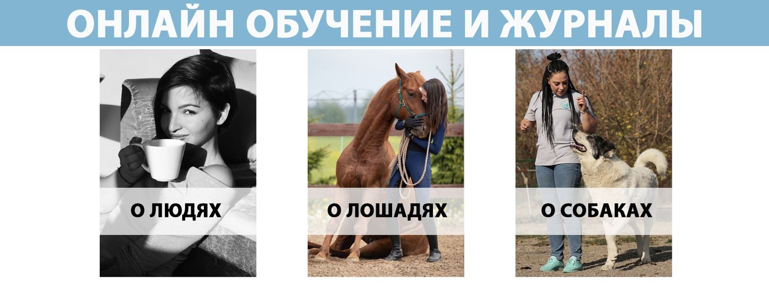 Метод Саши Твердой