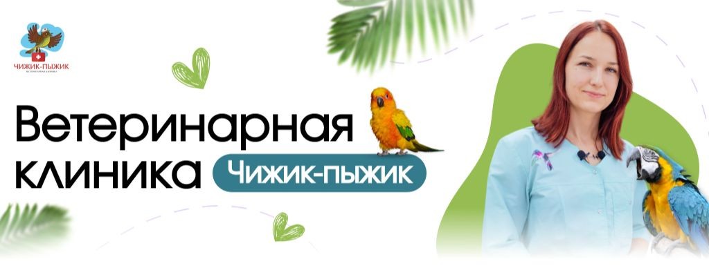 Ветеринарная клиника для птиц "Чижик-пыжик"