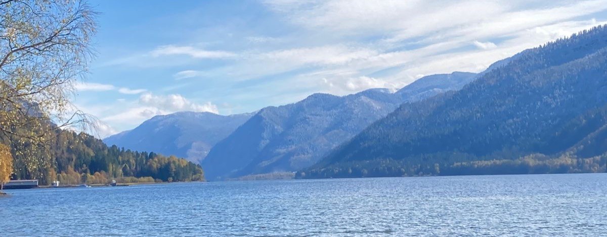 Цитаты, высказывания