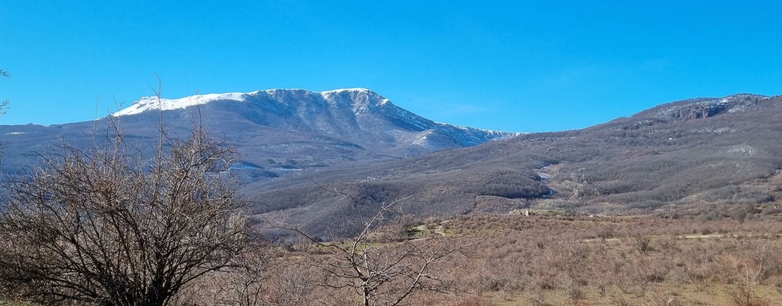 Дарья Александровна