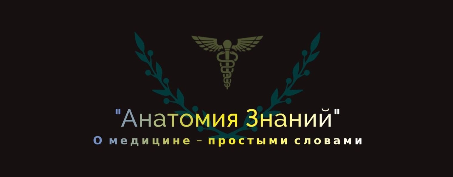 Анатомия Знаний | Медицинская теория