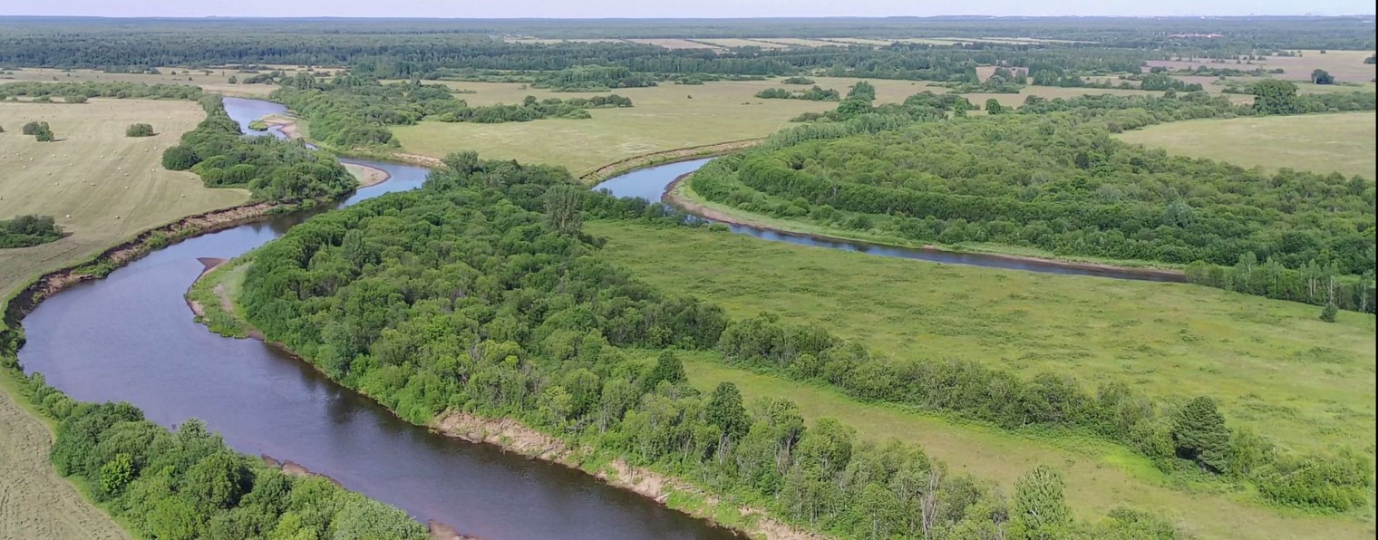 Деревенские Игрушки