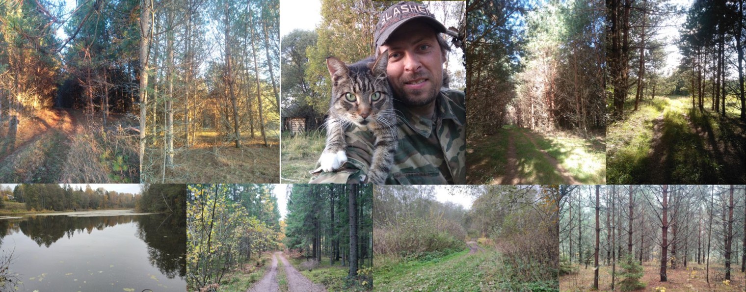 На пути к родовому поместью