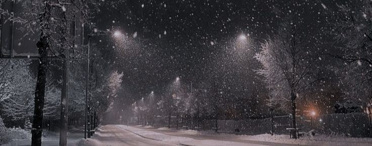 Котёнок Пират