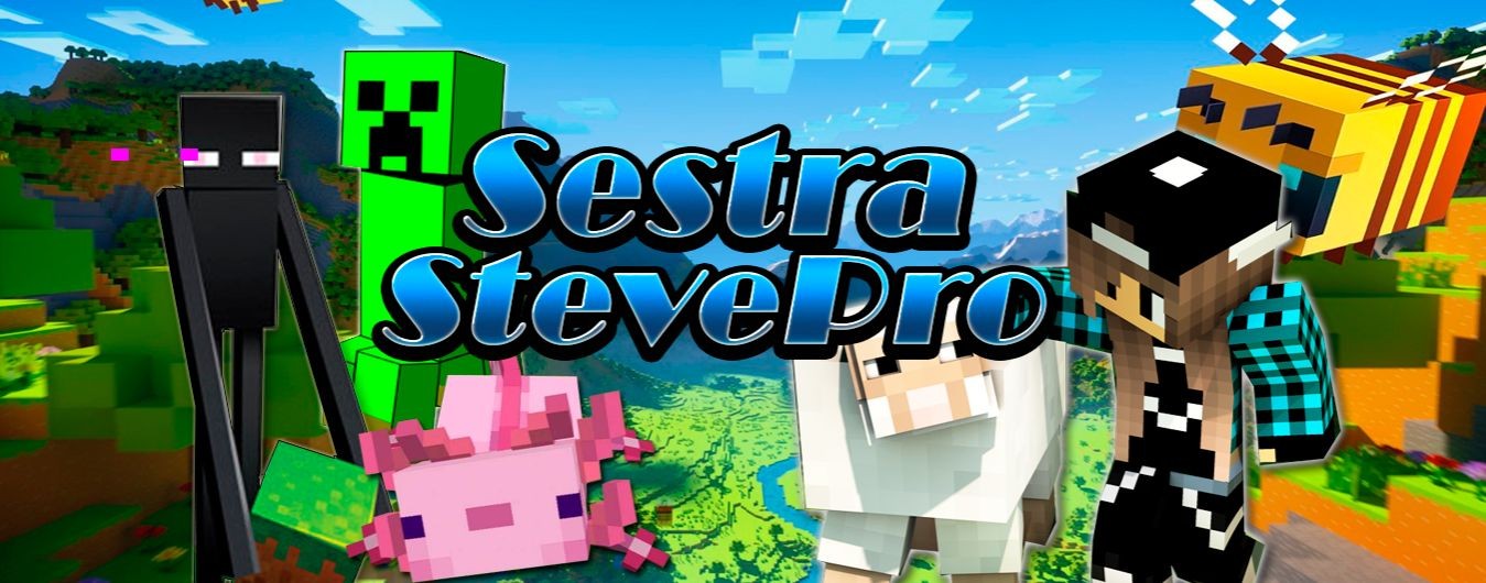sestra StevePro