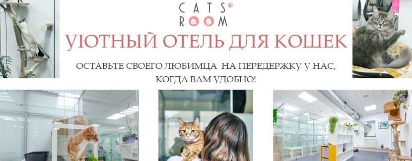 Cats' Room кошечки